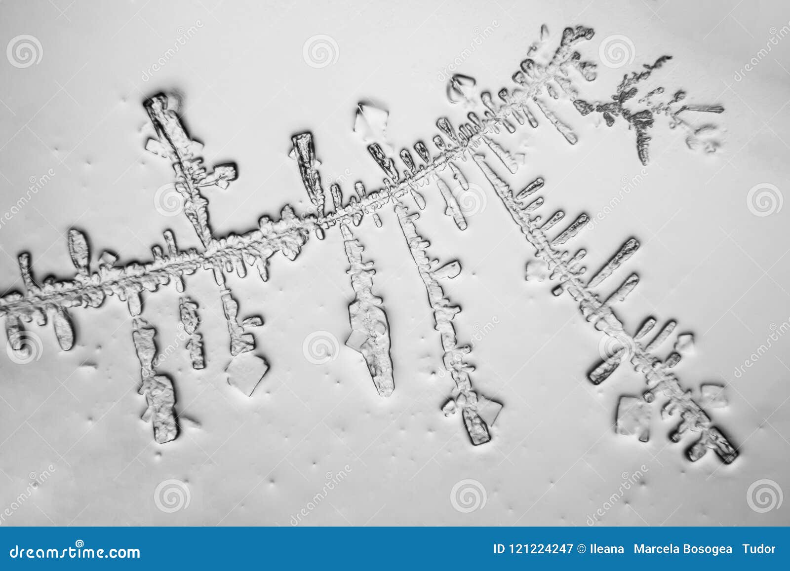 Tears Viewed at the Microscope Stock Image - Image of tear, cell: 121224247