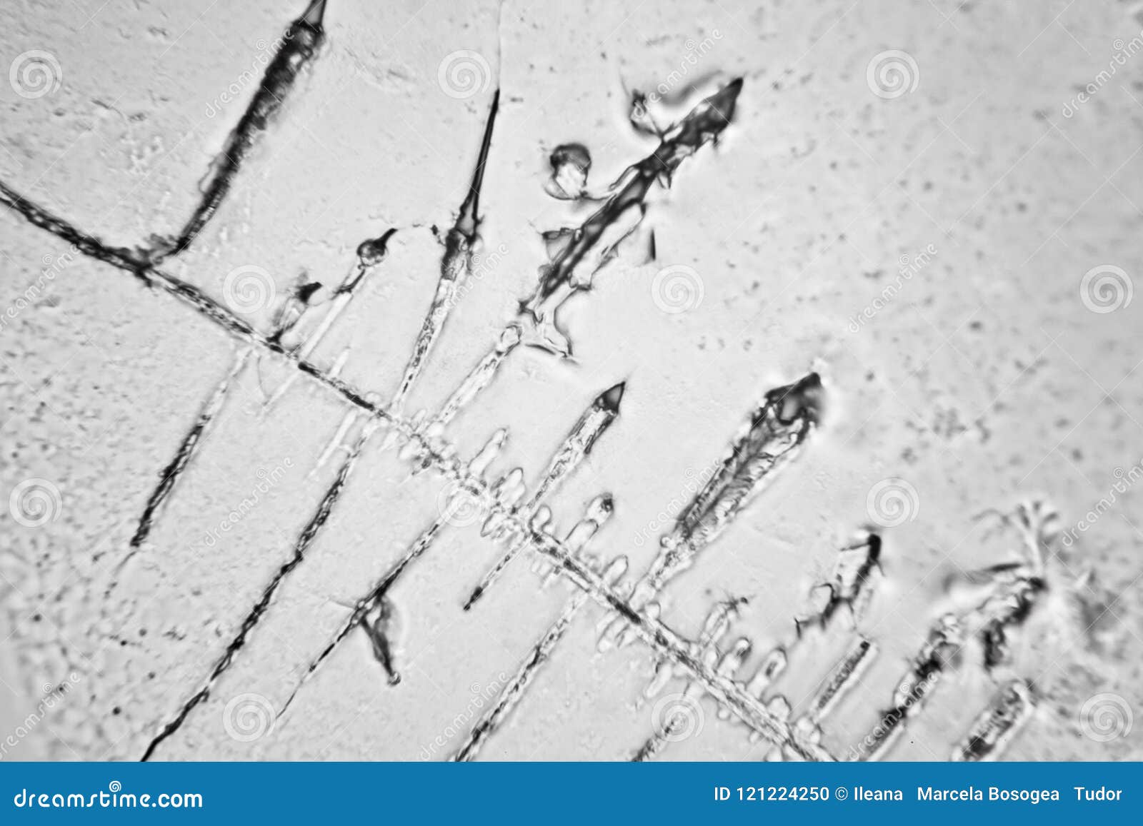 Tears Viewed at the Microscope Stock Photo - Image of target, abstract ...