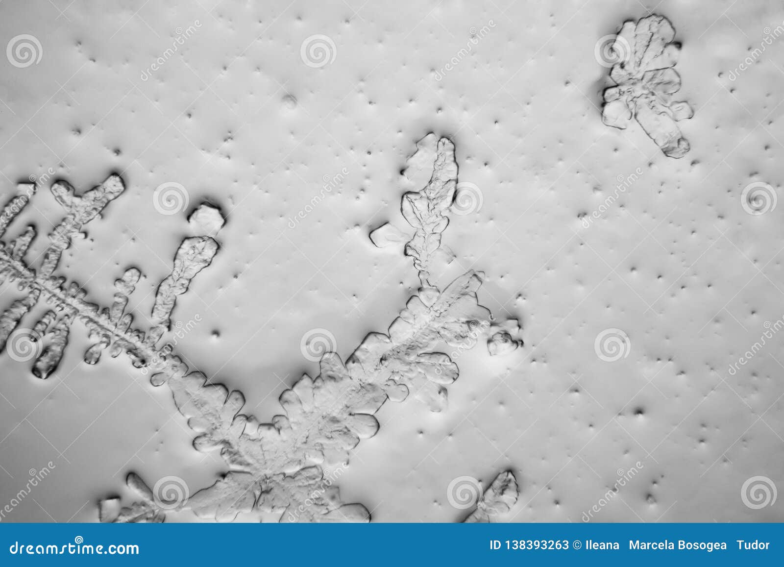 Tears Viewed at the Microscope Stock Image - Image of blue, laboratory ...
