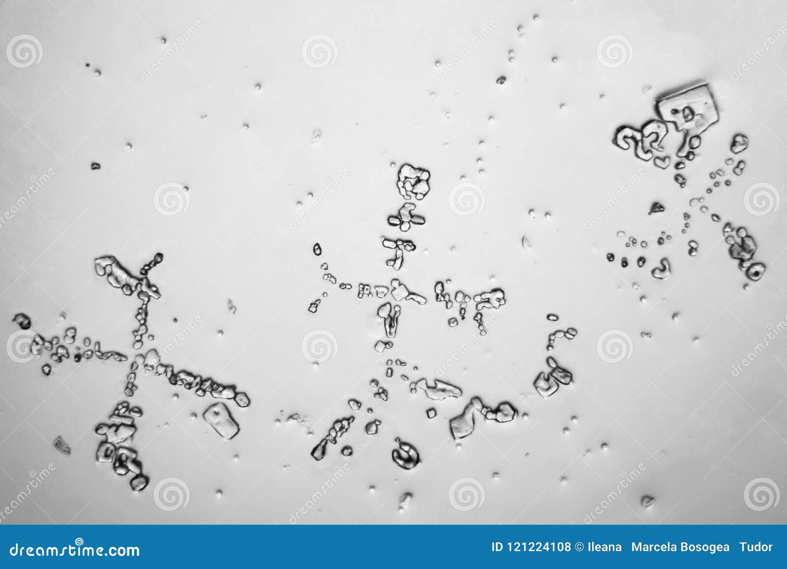 Tears Viewed at the Microscope Stock Photo - Image of target, water ...