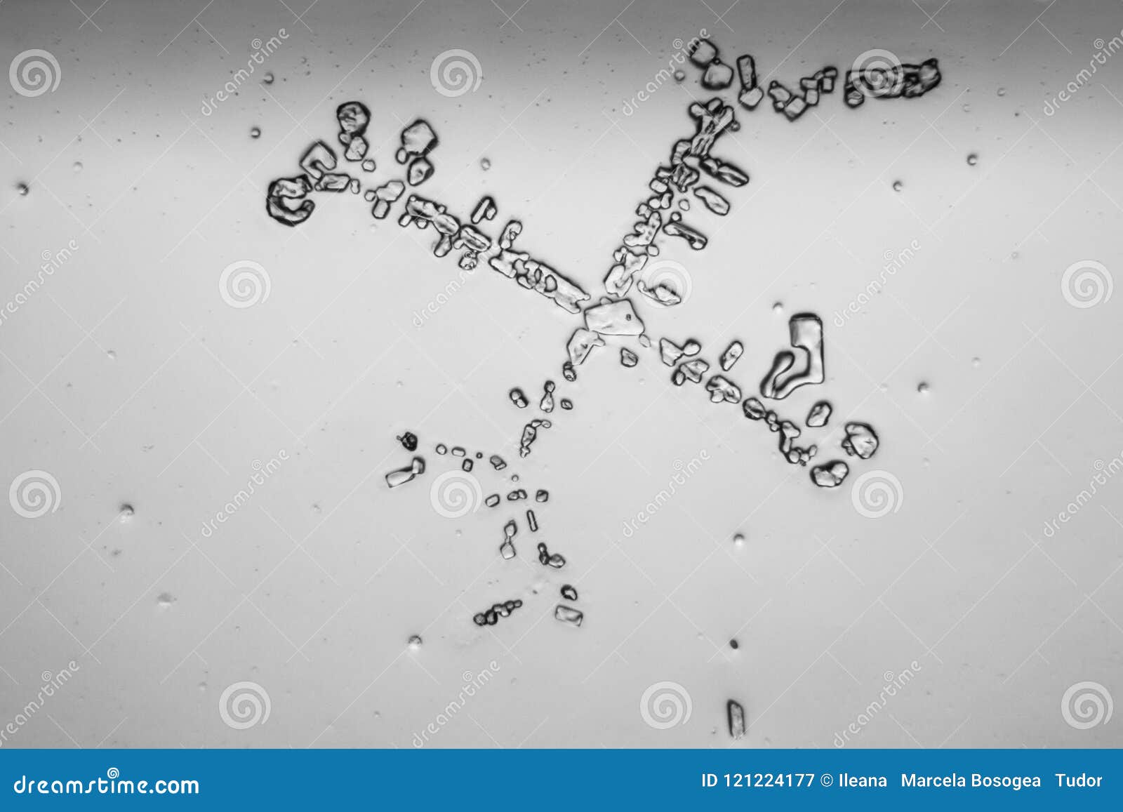Tears Viewed at the Microscope Stock Image - Image of medicine, tear ...