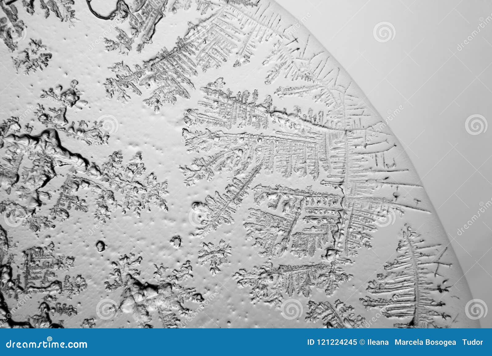 Tears Viewed at the Microscope Stock Image - Image of detail, blue ...