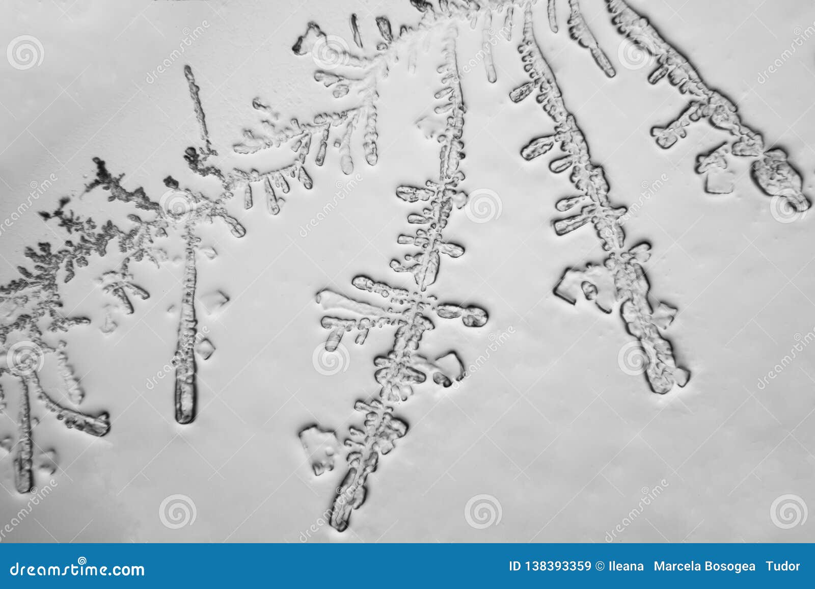 Tears Viewed at the Microscope Stock Image - Image of glass, science ...