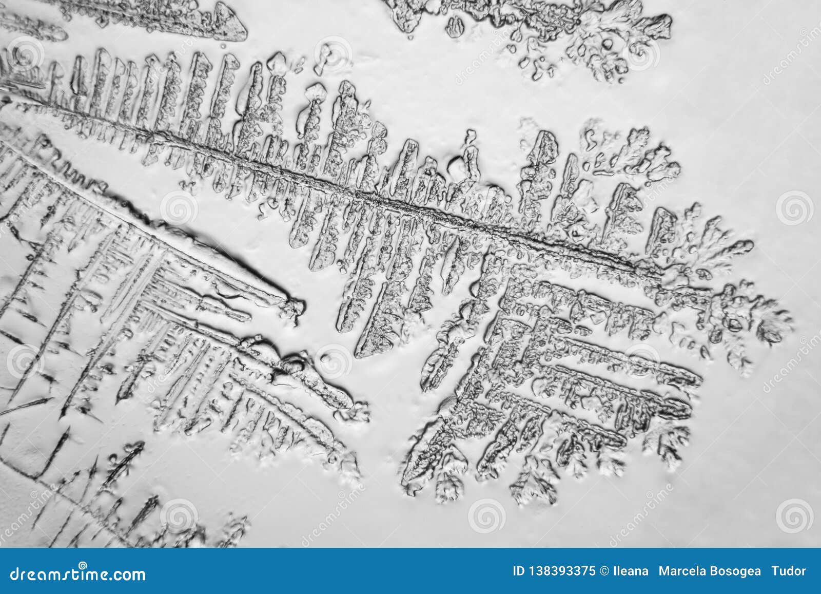 Tears Viewed at the Microscope Stock Image - Image of pain, blue: 138393375