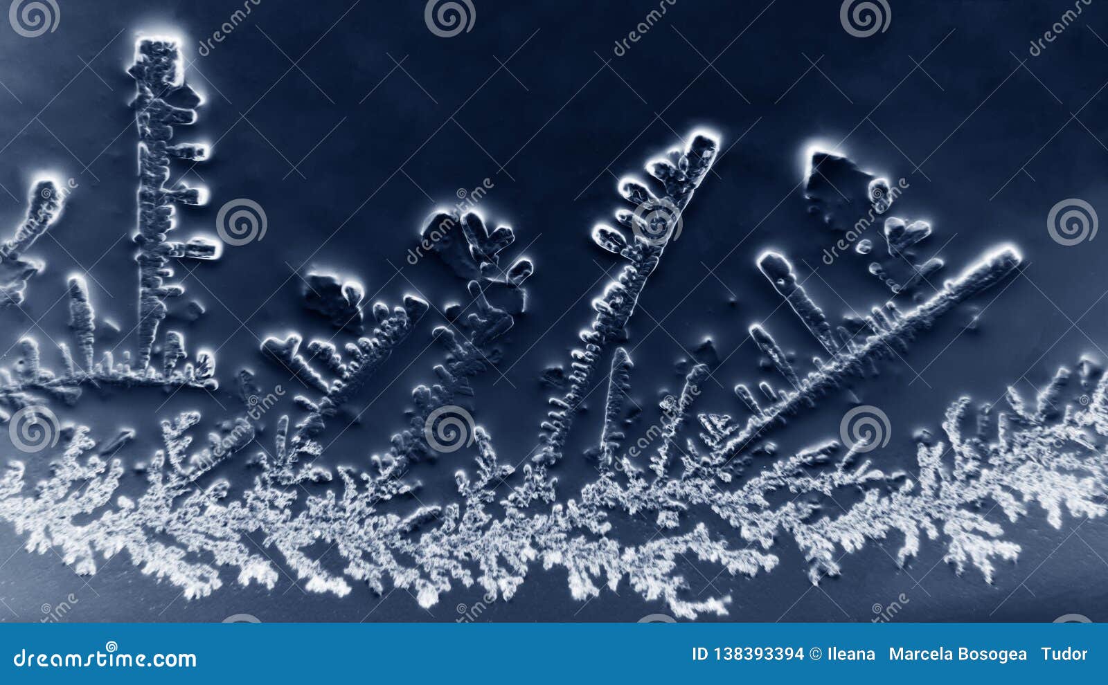 Tears Viewed at the Microscope Stock Photo - Image of tears, abstract ...