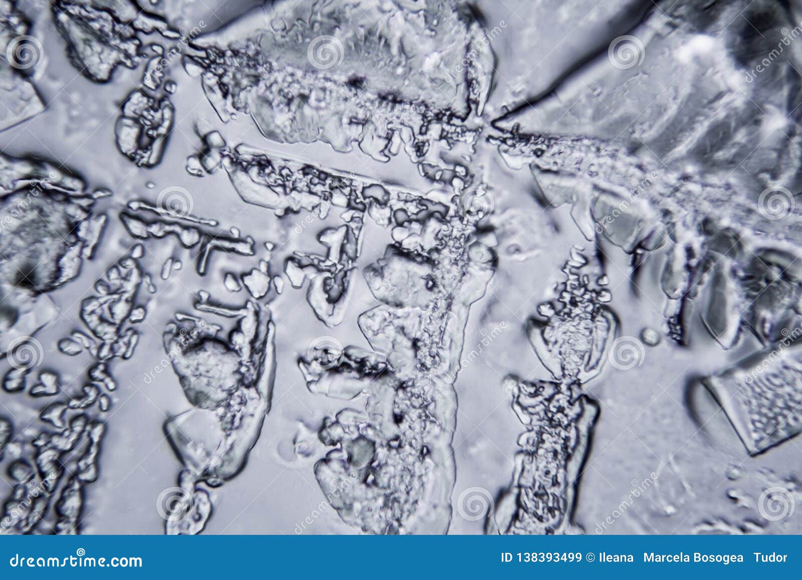 Tears Viewed at the Microscope Stock Image - Image of liquid, eyes ...