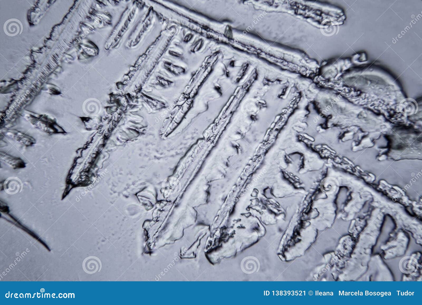 Tears Viewed at the Microscope Stock Image - Image of texture, tear ...