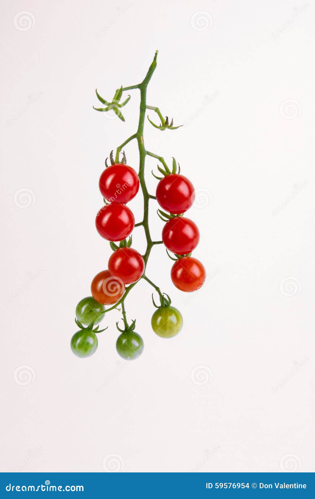 TeaSpoon Tomatoes stock photo. Image of scale, collection - 59576954