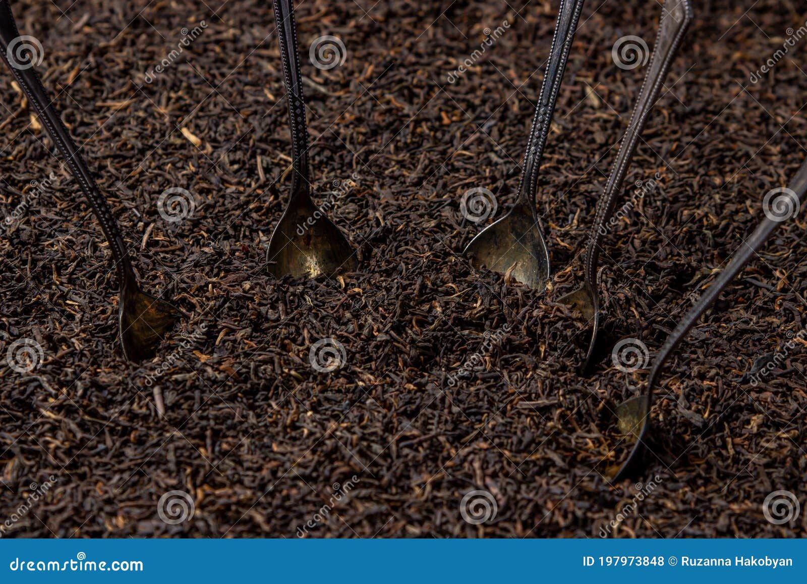 Teaspoons Sticking Out of a Pile of Loose Tea Stock Photo - Image of ...