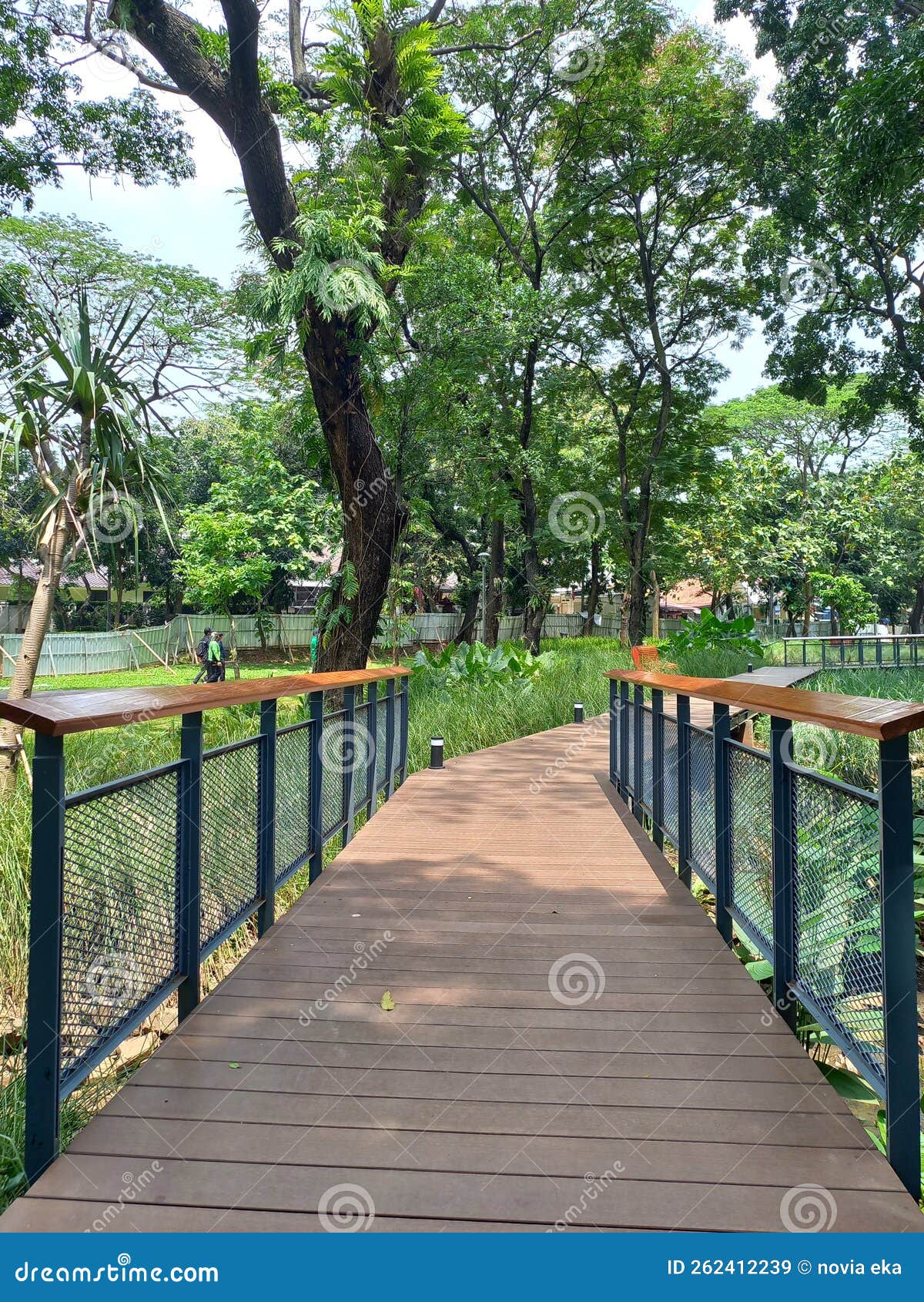 Tebet Eco Park stock image. Image of flower, forest - 262412239