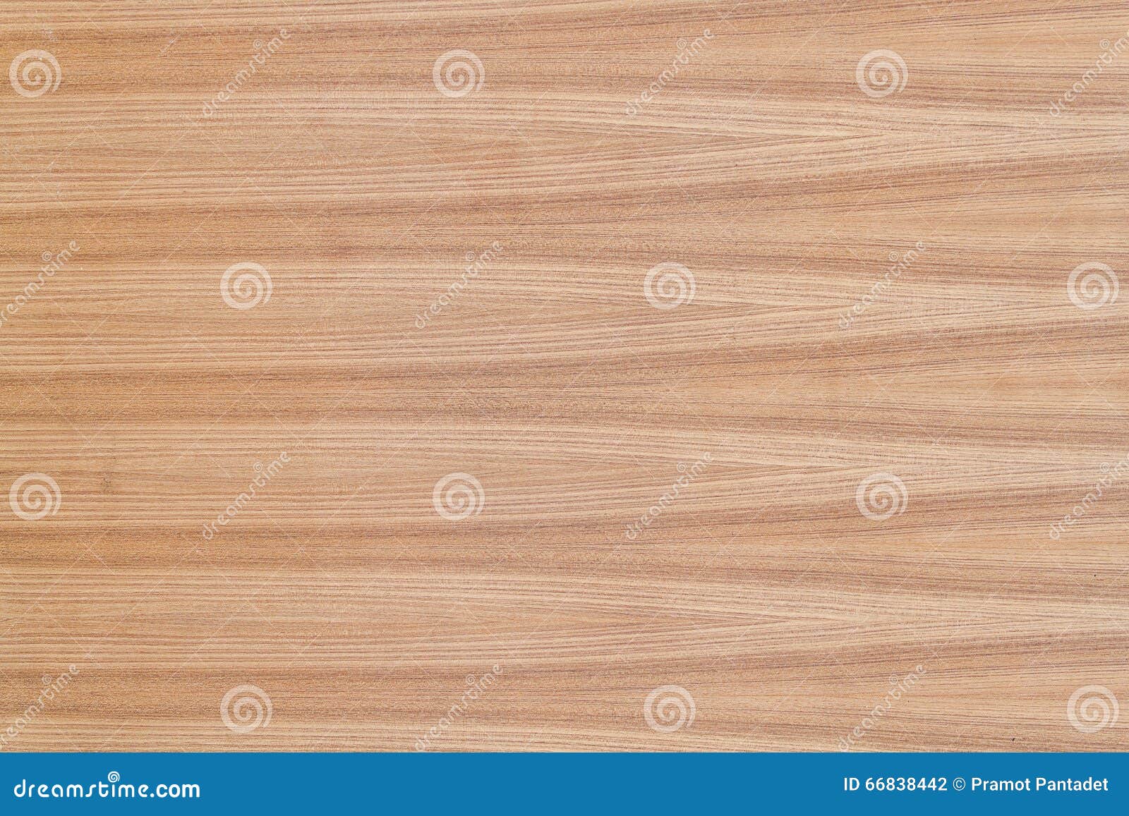 Teca de madeira da textura foto de stock. Imagem de naughty - 66838442