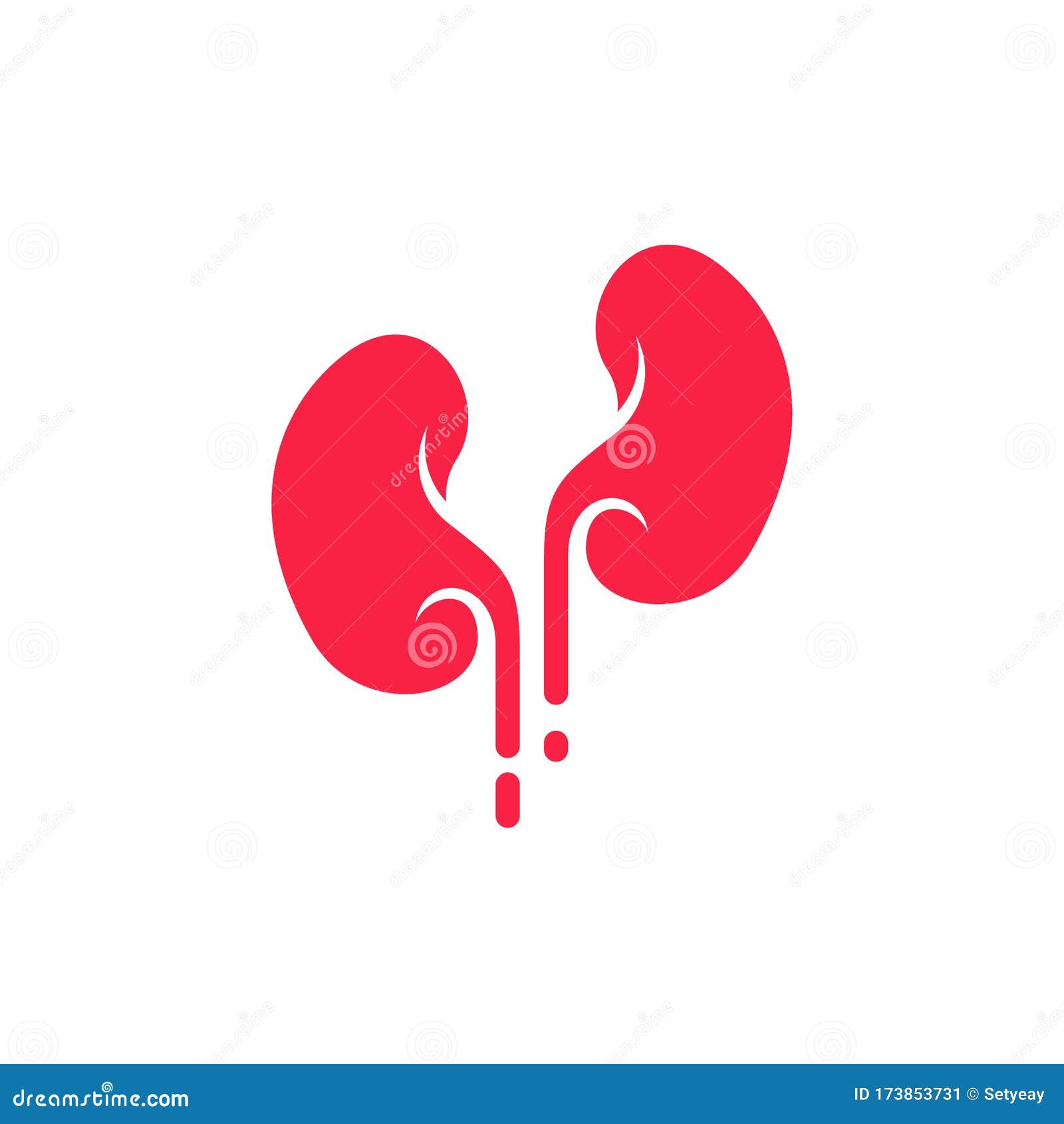 Tech Kidney Logo Design Inspiration Vector, Fast Kidney Logo Template ...