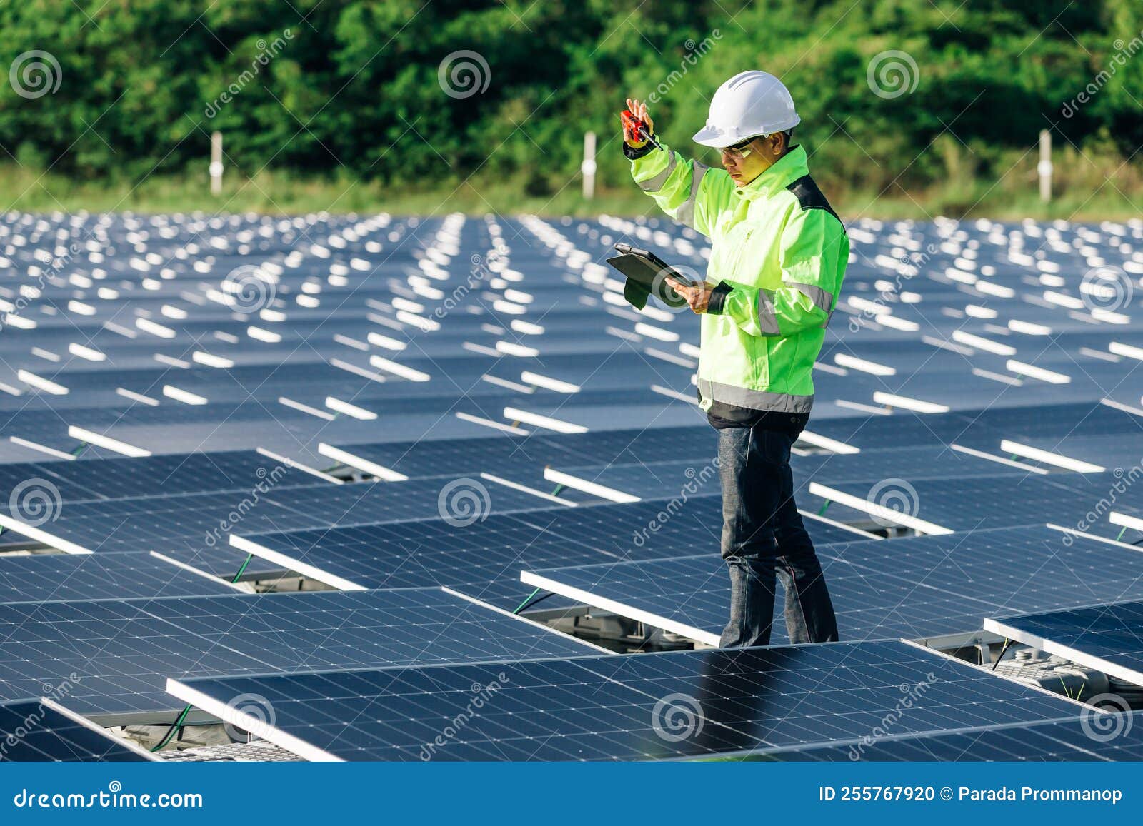 Technical Expert in Solar Energy Photovoltaic Panels, Remote Control ...