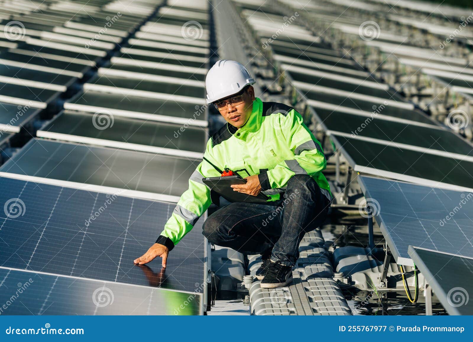Technical Expert in Solar Energy Photovoltaic Panels, Remote Control ...