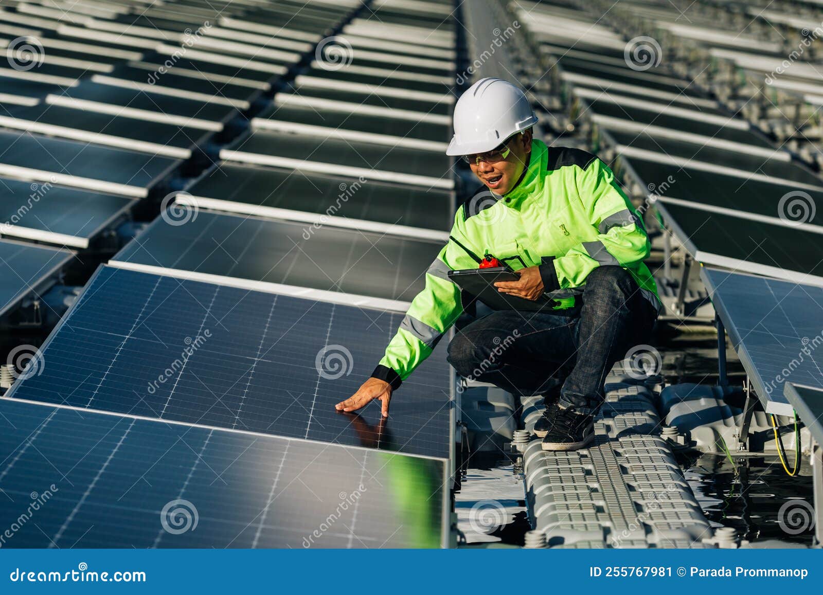 Technical Expert in Solar Energy Photovoltaic Panels, Remote Control ...
