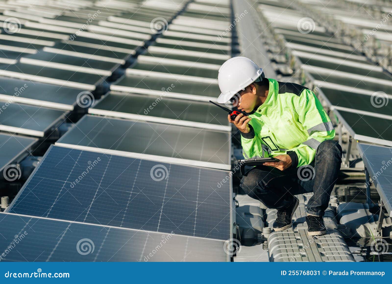Technical Expert in Solar Energy Photovoltaic Panels, Remote Control ...