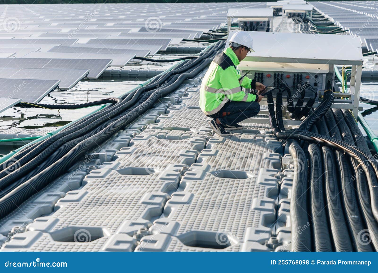 Technical Expert in Solar Energy Photovoltaic Panels, Remote Control ...