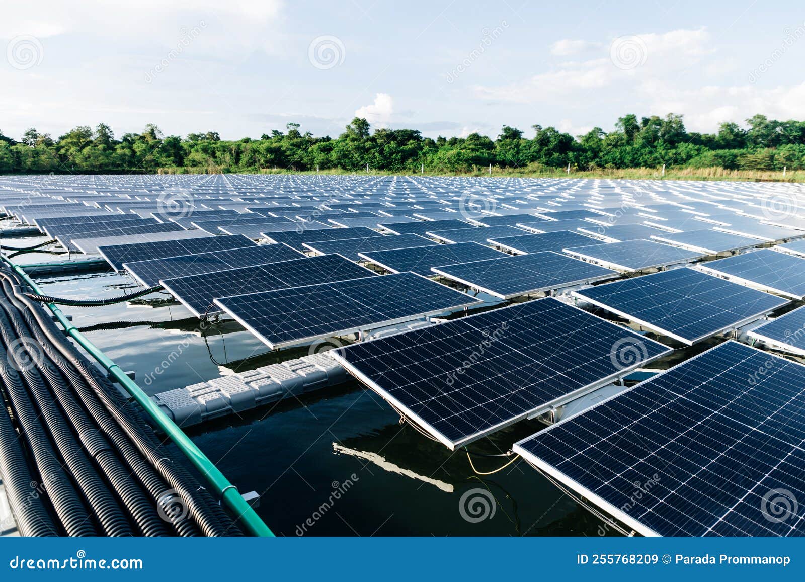 Technical Expert in Solar Energy Photovoltaic Panels, Remote Control ...