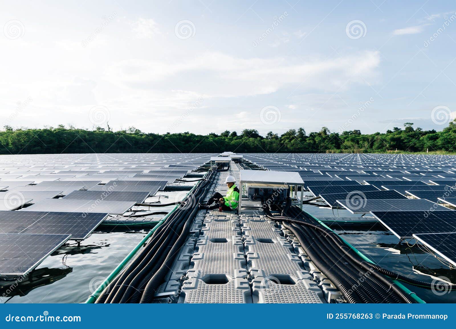 Technical Expert in Solar Energy Photovoltaic Panels, Remote Control ...