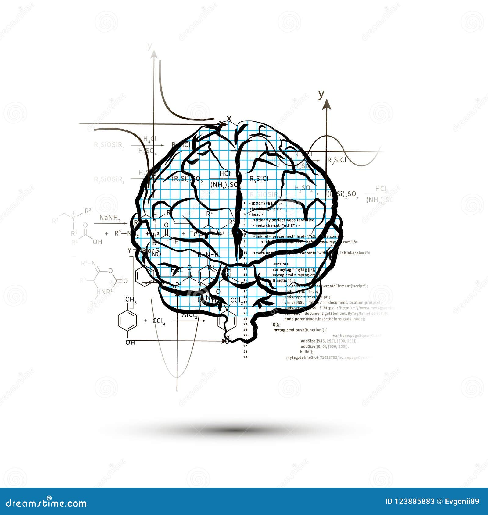 Brain Sketch Front View