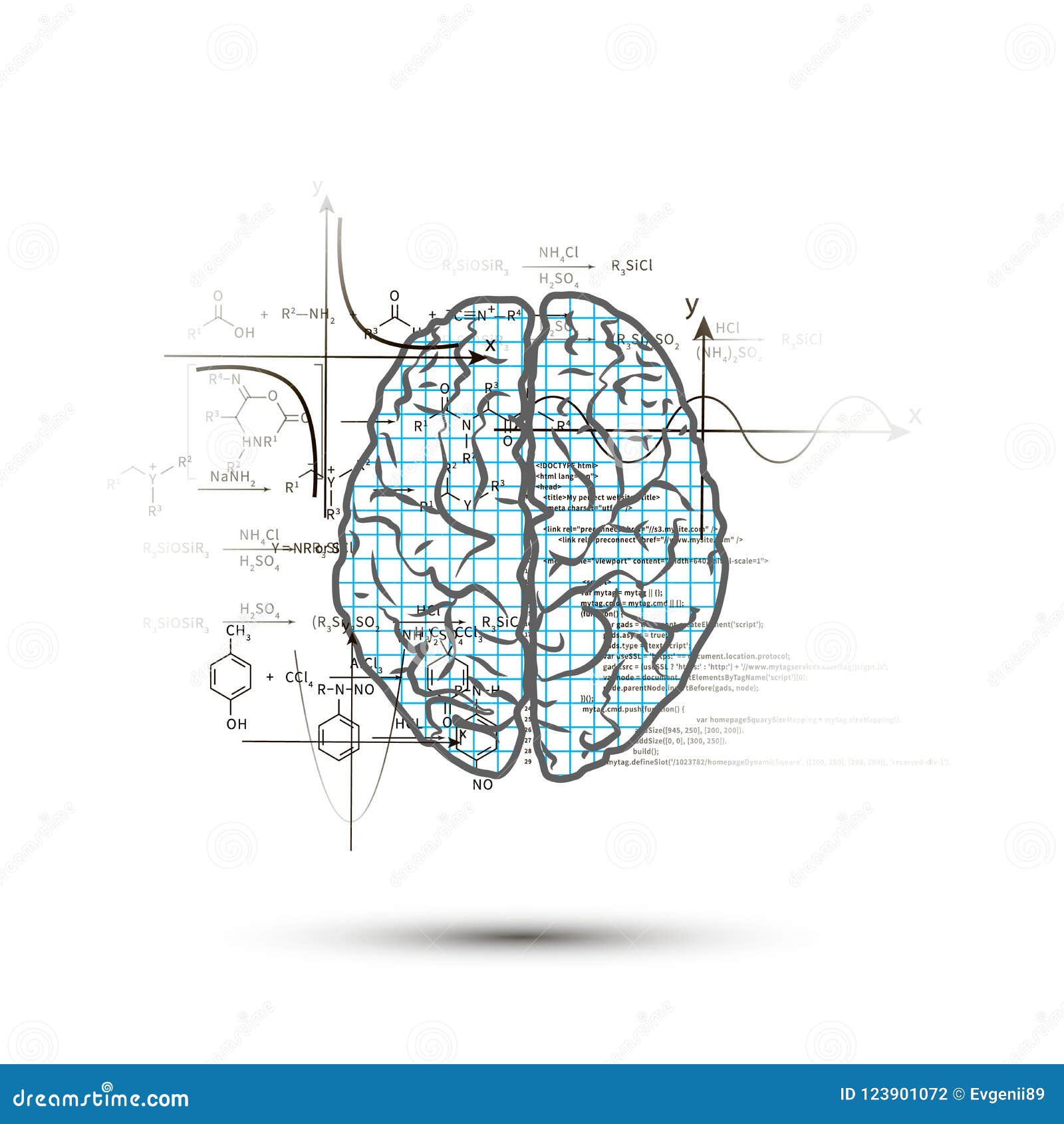 Technical Hemisphere of Human Brain in Top View, Right Side of Brain ...