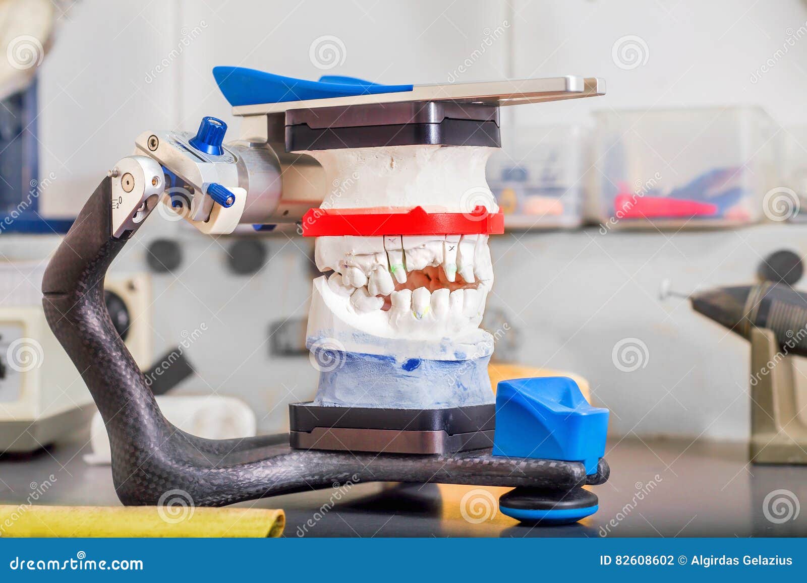 Technical Shots Of Models On A Dental Laboratory Stock Image ...