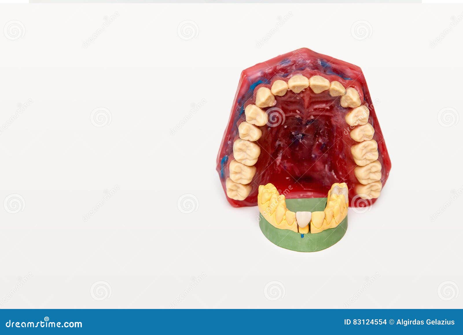 Technical Shots of Models on a Dental Laboratory Stock Photo - Image of ...