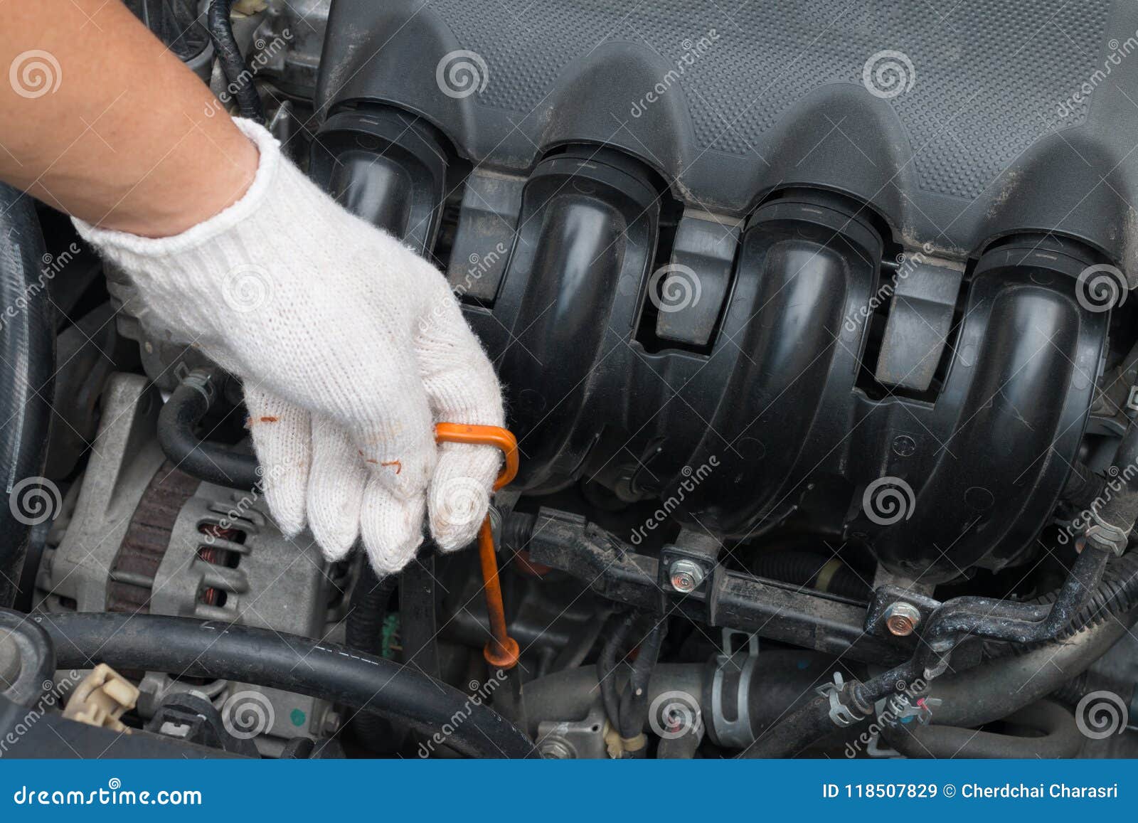 Technician is Checking Engine Oil Level of Car, Oil Stick in the Stock ... Technician is Checking Engine Oil Level of Car, Oil Stick in the Stock ...