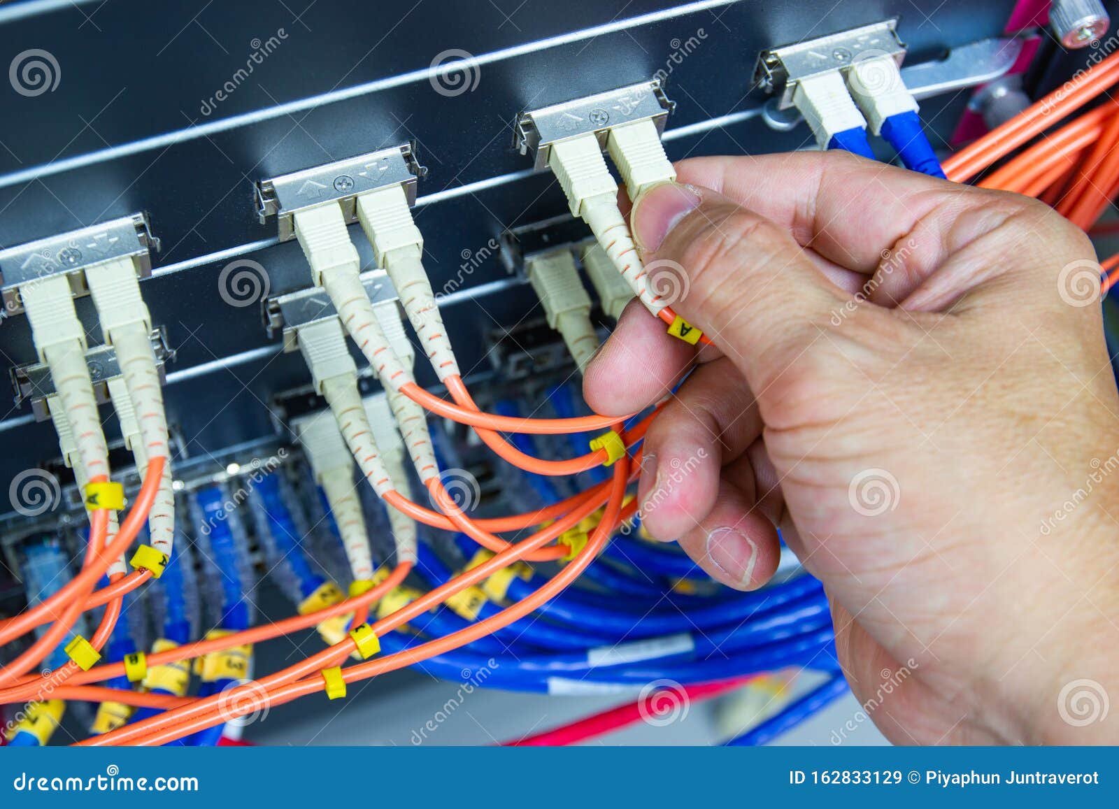 Technician Connect Fiber Cable Network To Switch Port in Server Room ...