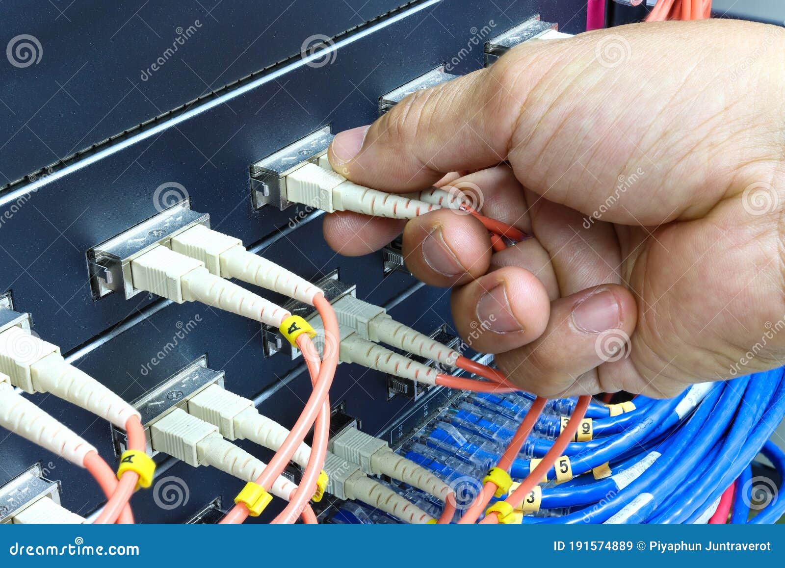 Technician Connect Fiber Cable Network To Switch Port in Server Room ...