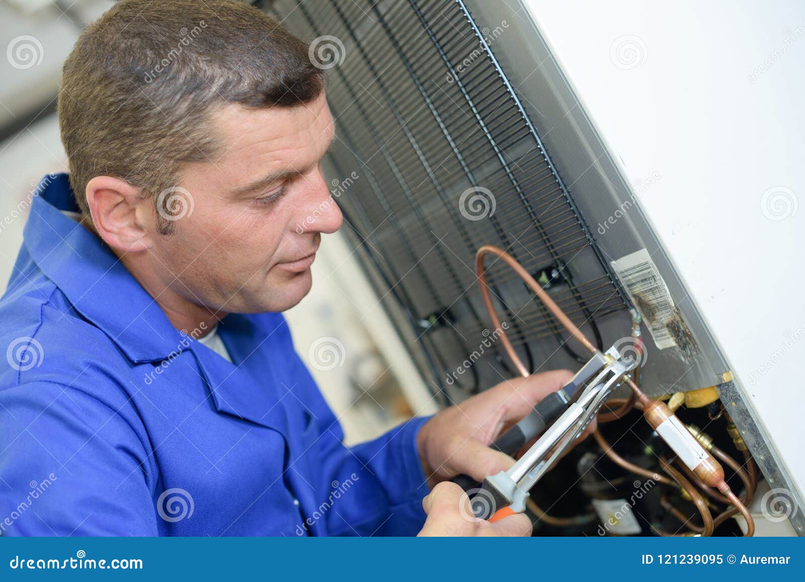20,501 Technician Wire Stock Photos - Free & Royalty-Free Stock Photos ...
