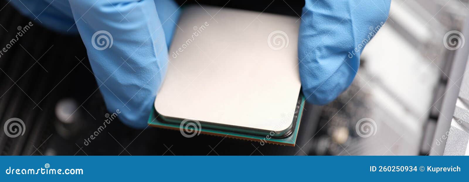 Technician Examines Microprocessor Chip on PC Motherboard Stock Photo - Image of examines ...