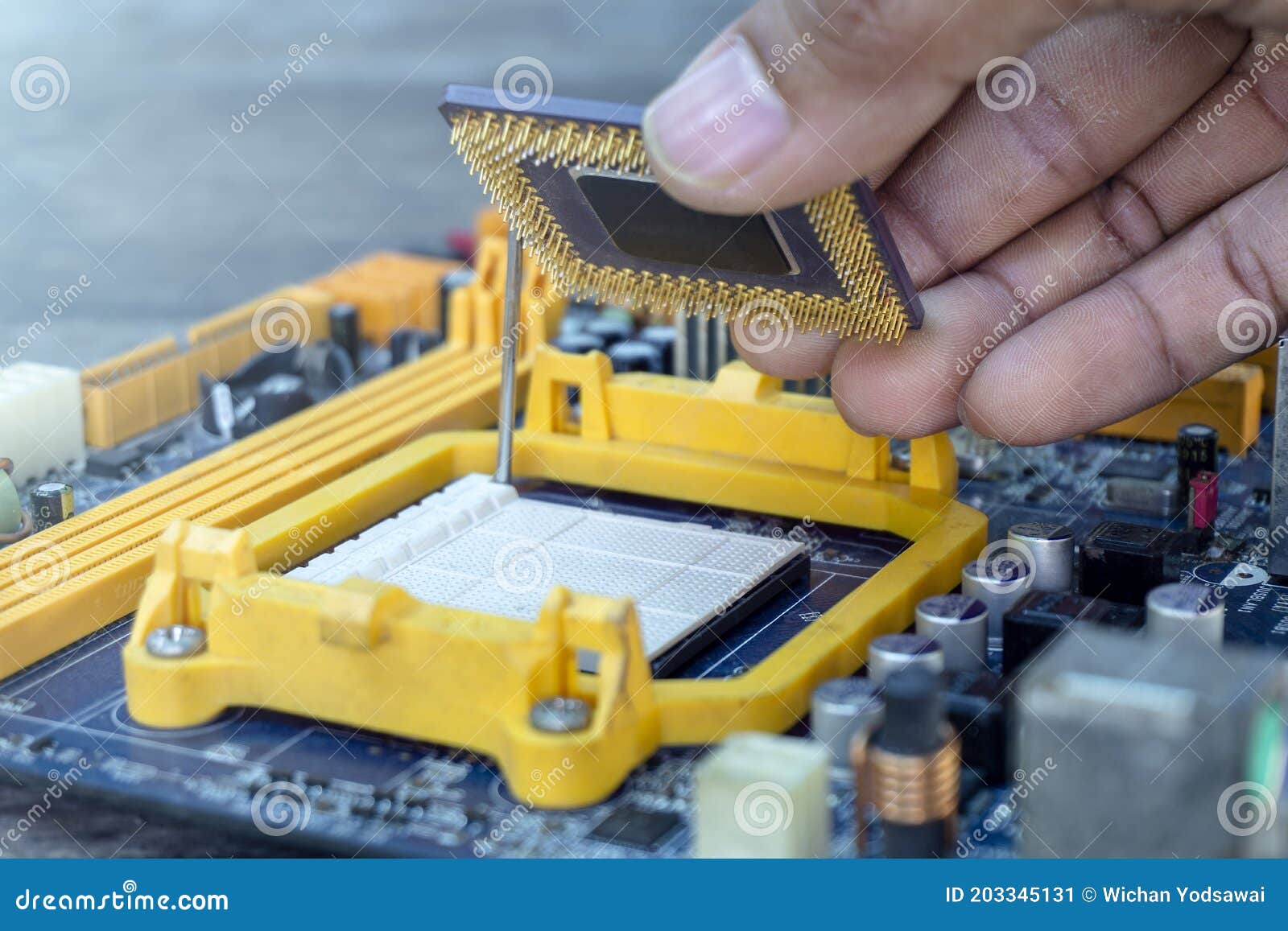 Technician Hand Holding the CPU or Central Processing Unit Chip ...