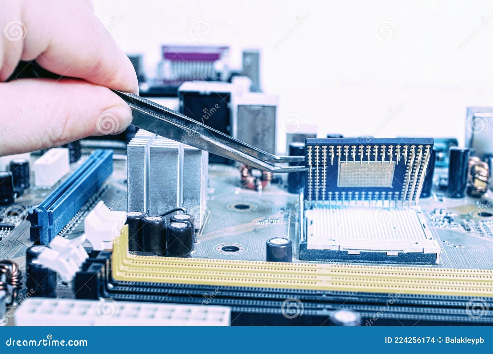 Technician Installing the Processor Stock Photo - Image of business ...