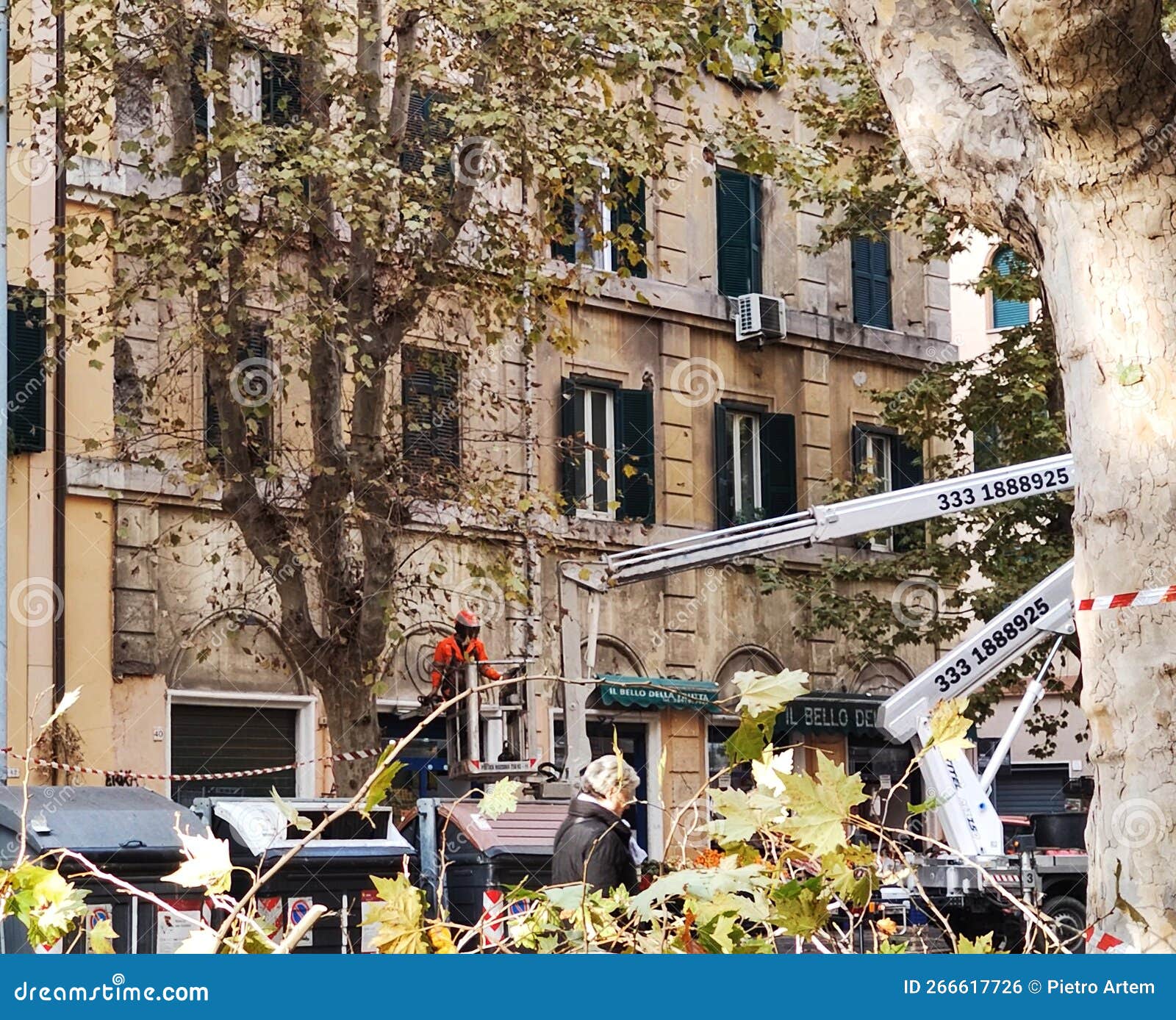 A Technician Loads Cut Tree Branches Using a Special Machine Editorial ...