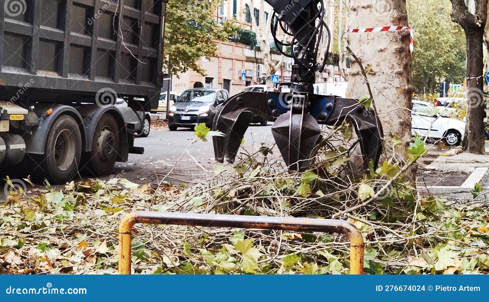 A Technician Loads Cut Tree Branches Using a Special Machine Stock ...