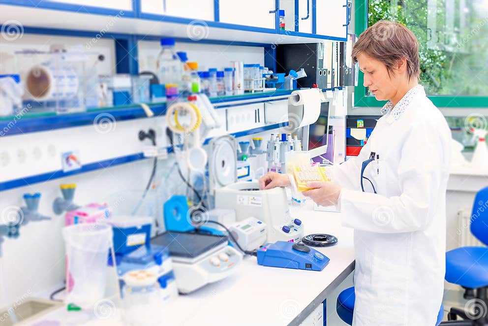 Technician in the Microbiology Stock Image - Image of person, pharmacy ...