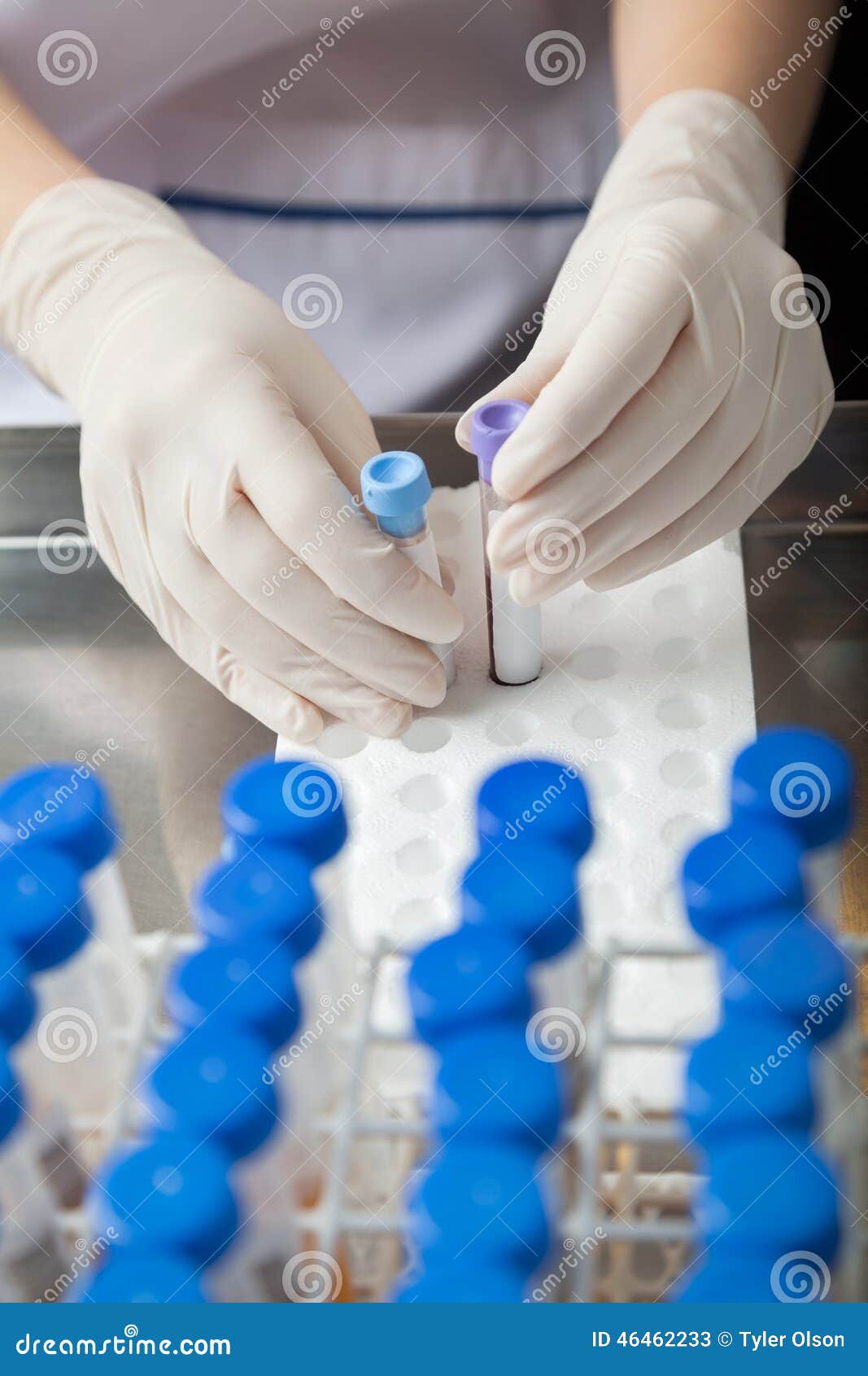 Technician Placing Test Tube Samples in Tray Stock Image - Image of ...