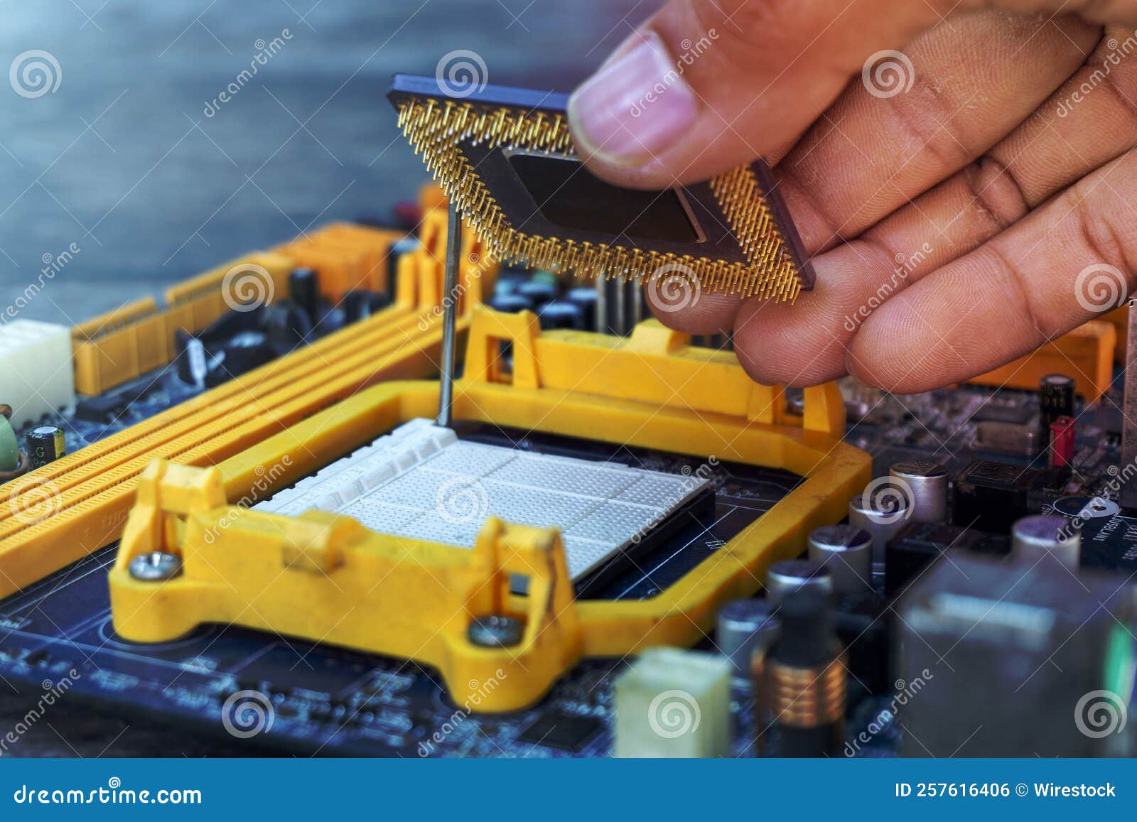 Technician S Hand Holding the Chip Microprocessor and Fixing the ...