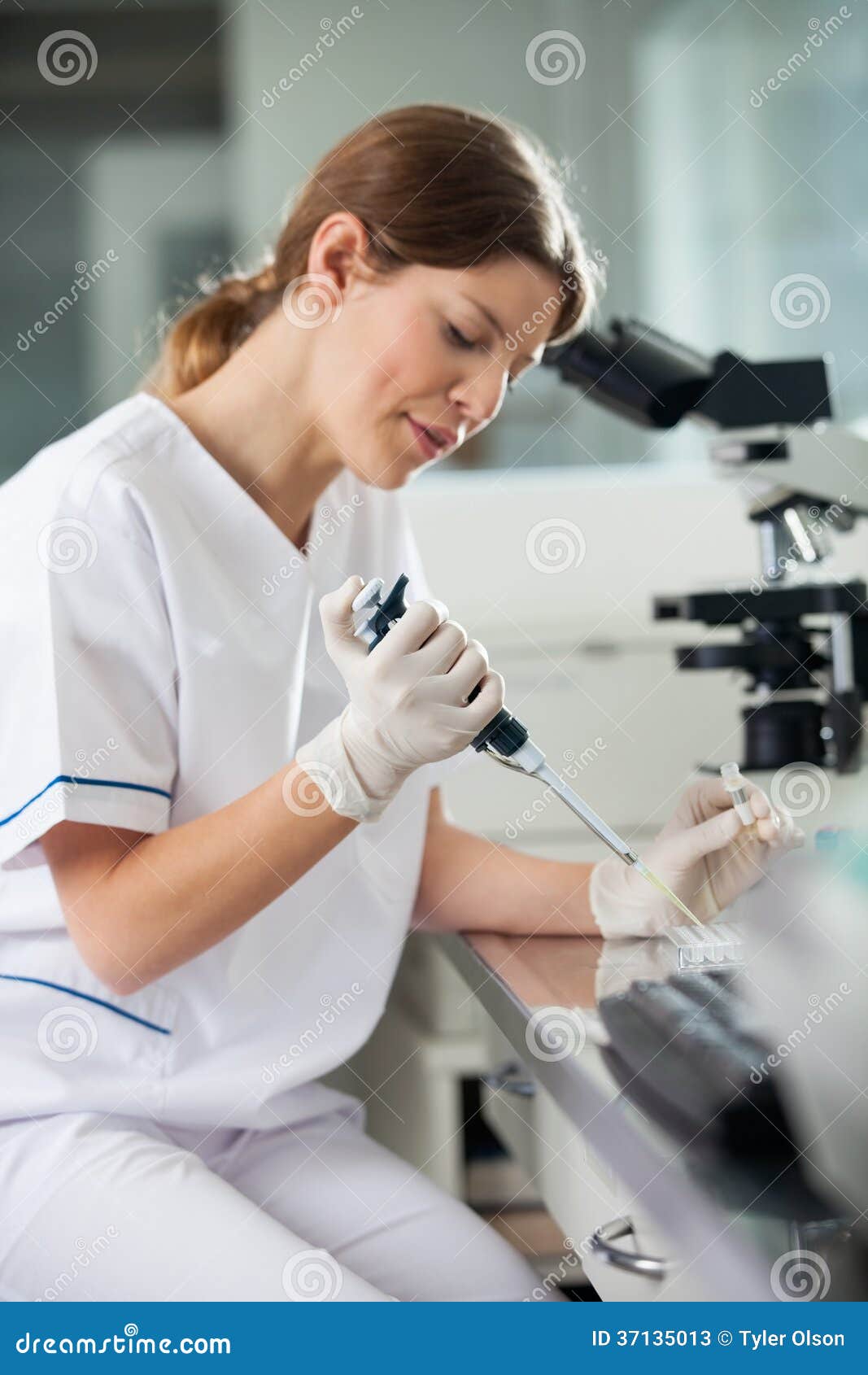 Technician Using Pipette in Laboratory Stock Image - Image of person ...