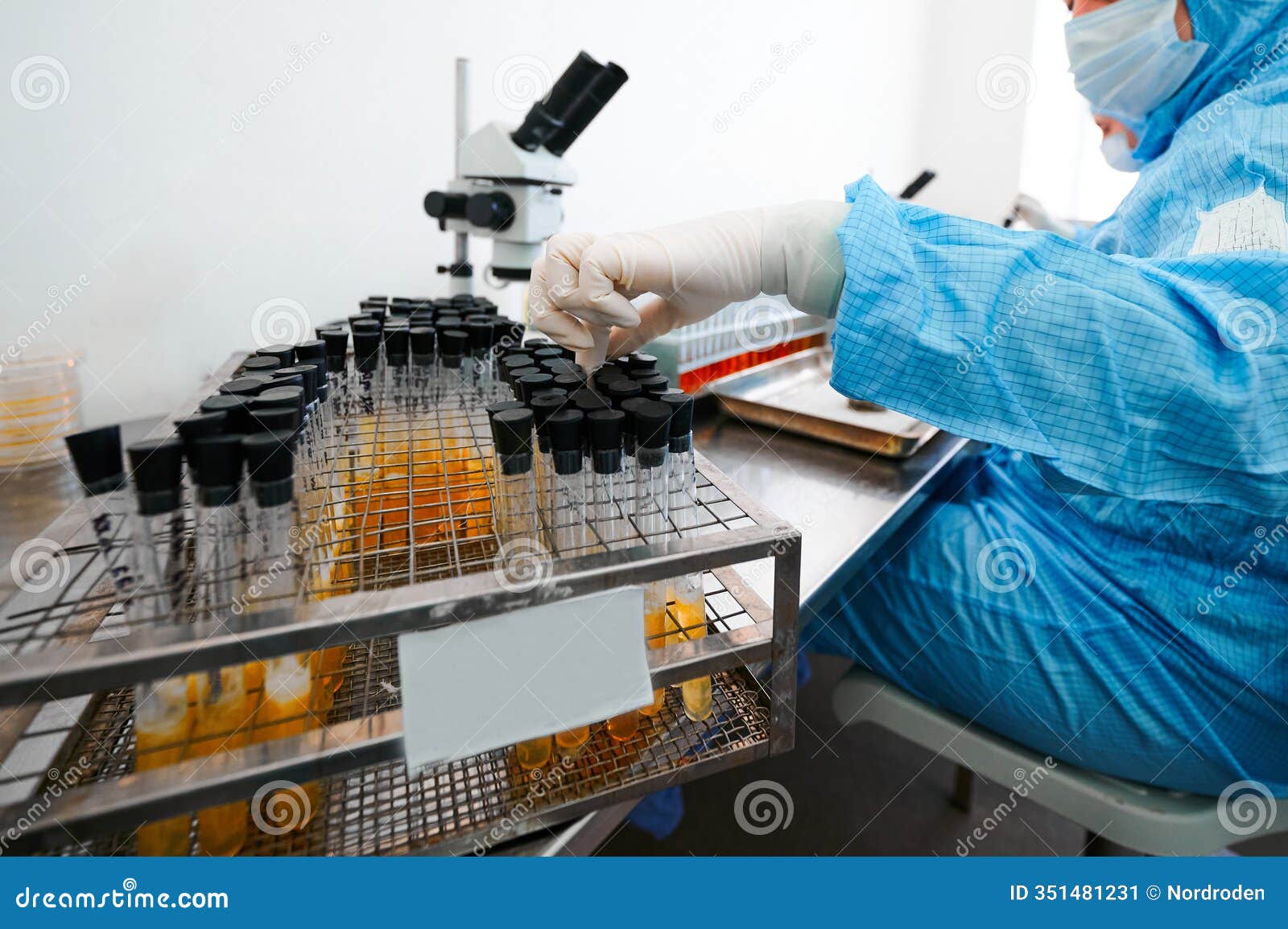 Technician Works on Analysis Creating Bacteriophage in Lab Stock Image ...