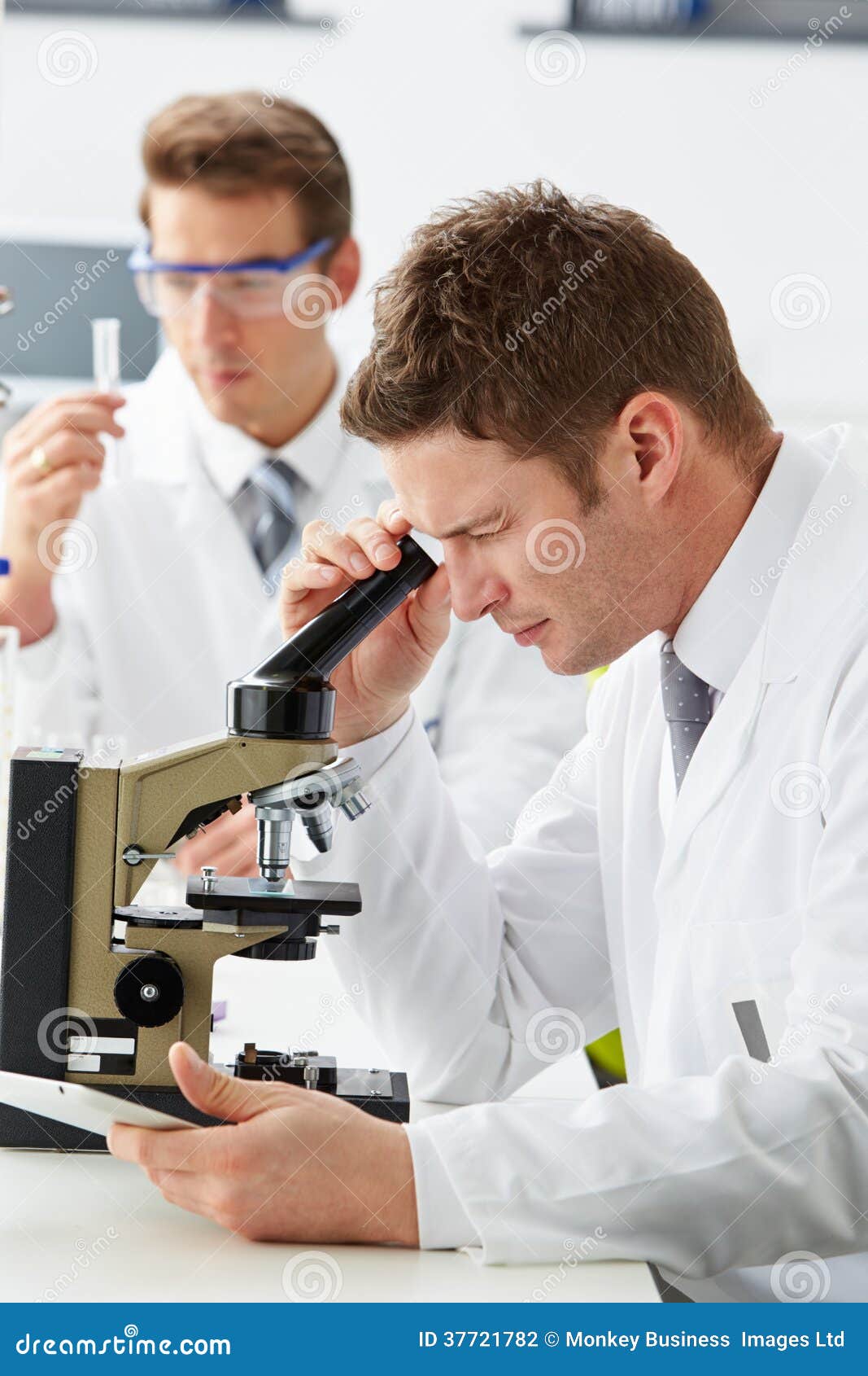 Technicians Carrying Out Research in Laboratory Stock Photo - Image of ...