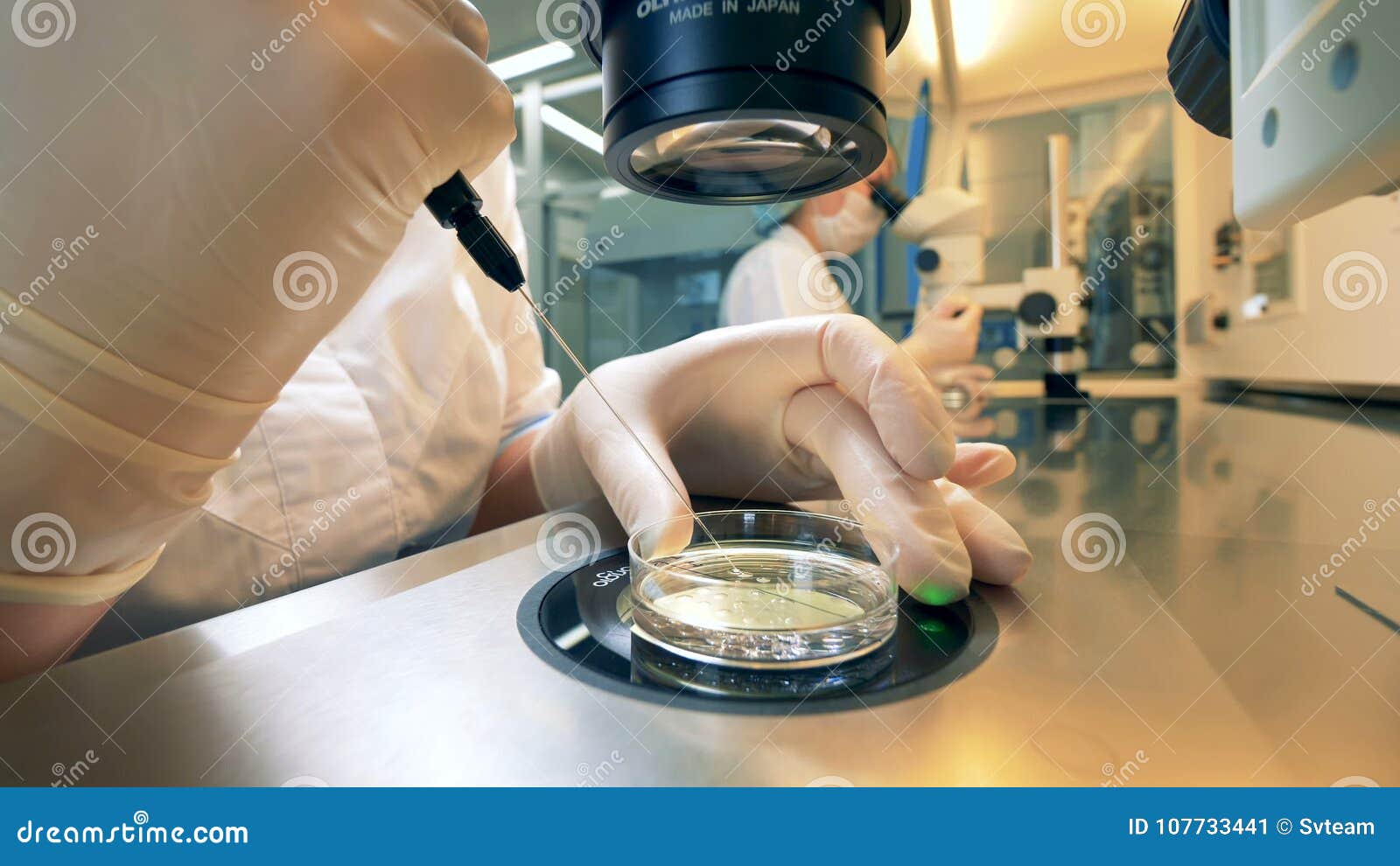 Technicians Hands Stir Laboratory Samples during Microscopic Test ...