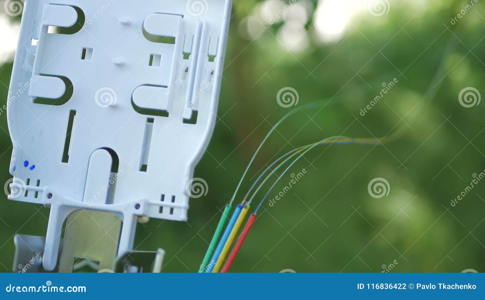 Technicians are Installing Optic Fiber with Cable Ties. Stock Photo ...