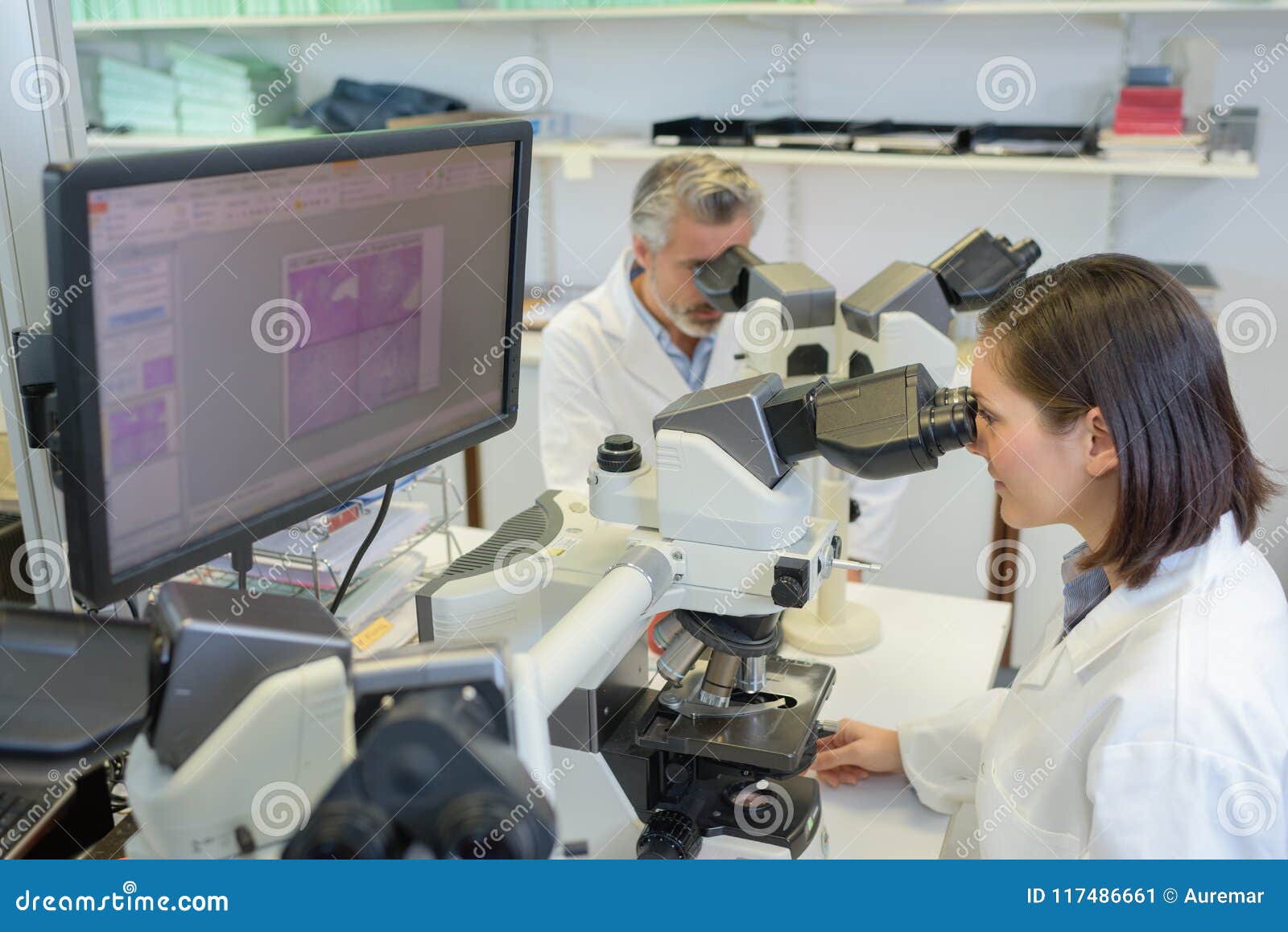 Technicians in Laboratory Looking into Microscopes Stock Image - Image ...