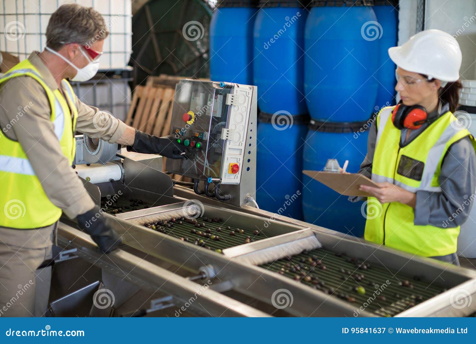 Technicians Operating Machine while Processing Olives Stock Image ...