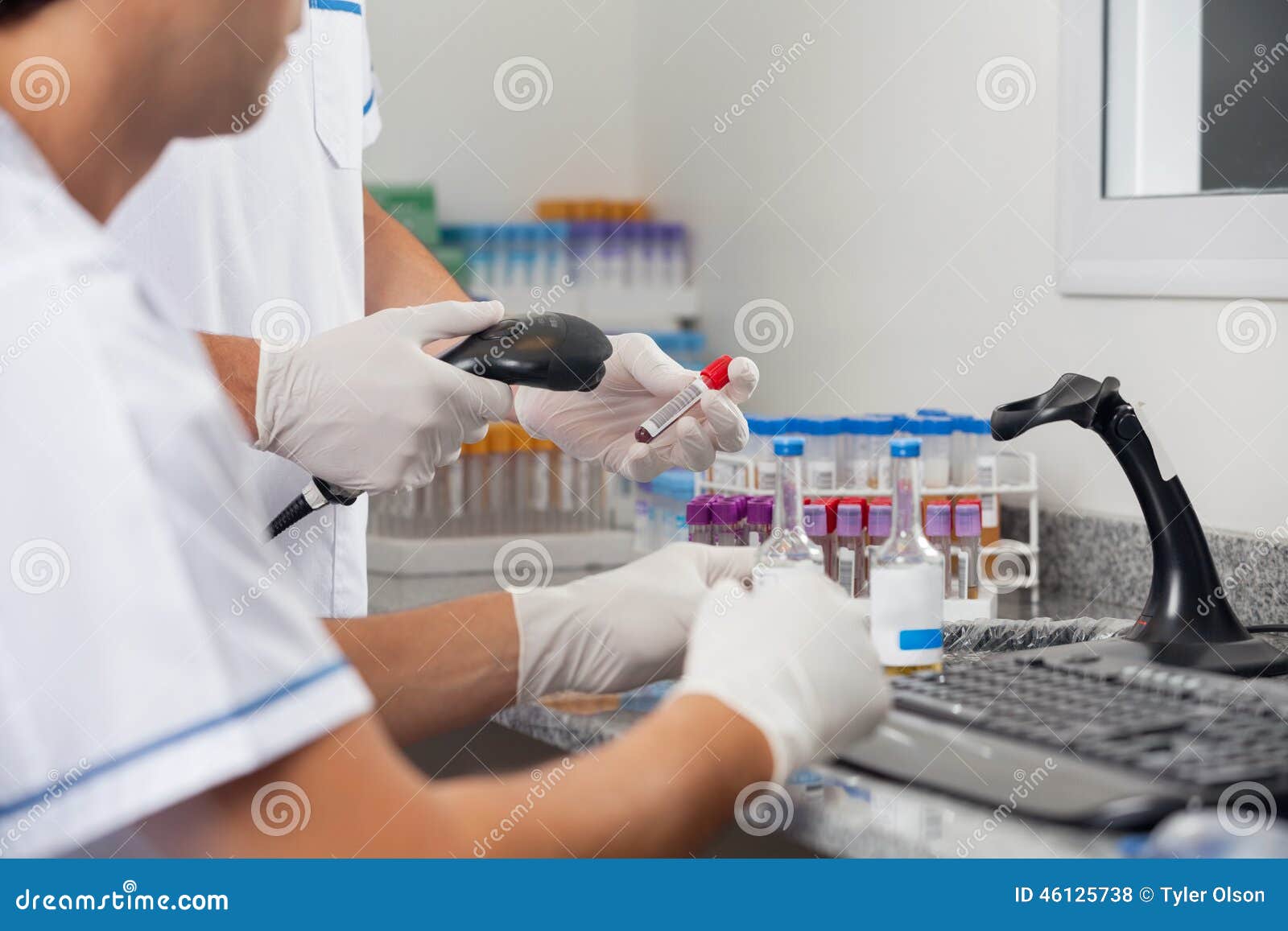 Technicians Scanning Specimens with Barcode Reader Stock Photo - Image ...