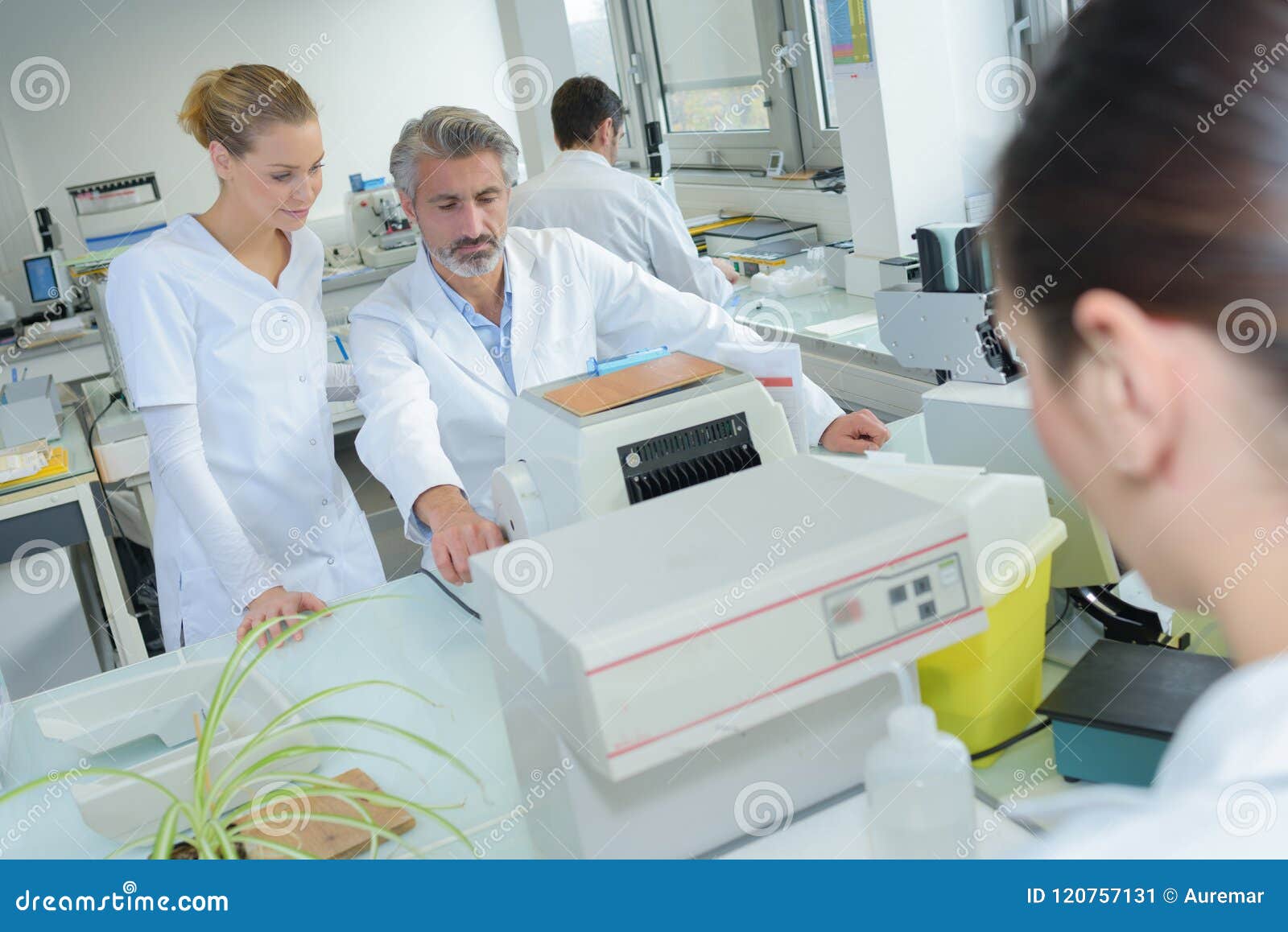 Technicians at Work in Laboratory Stock Image - Image of observation ...