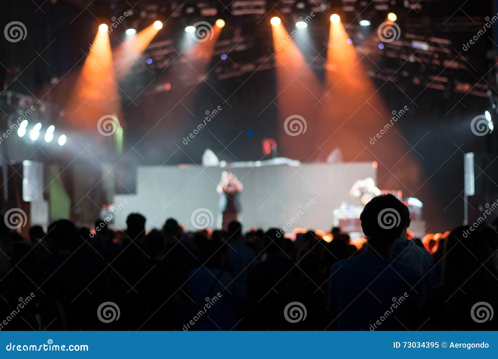 At the techno concert stock image. Image of event, crowded - 73034395