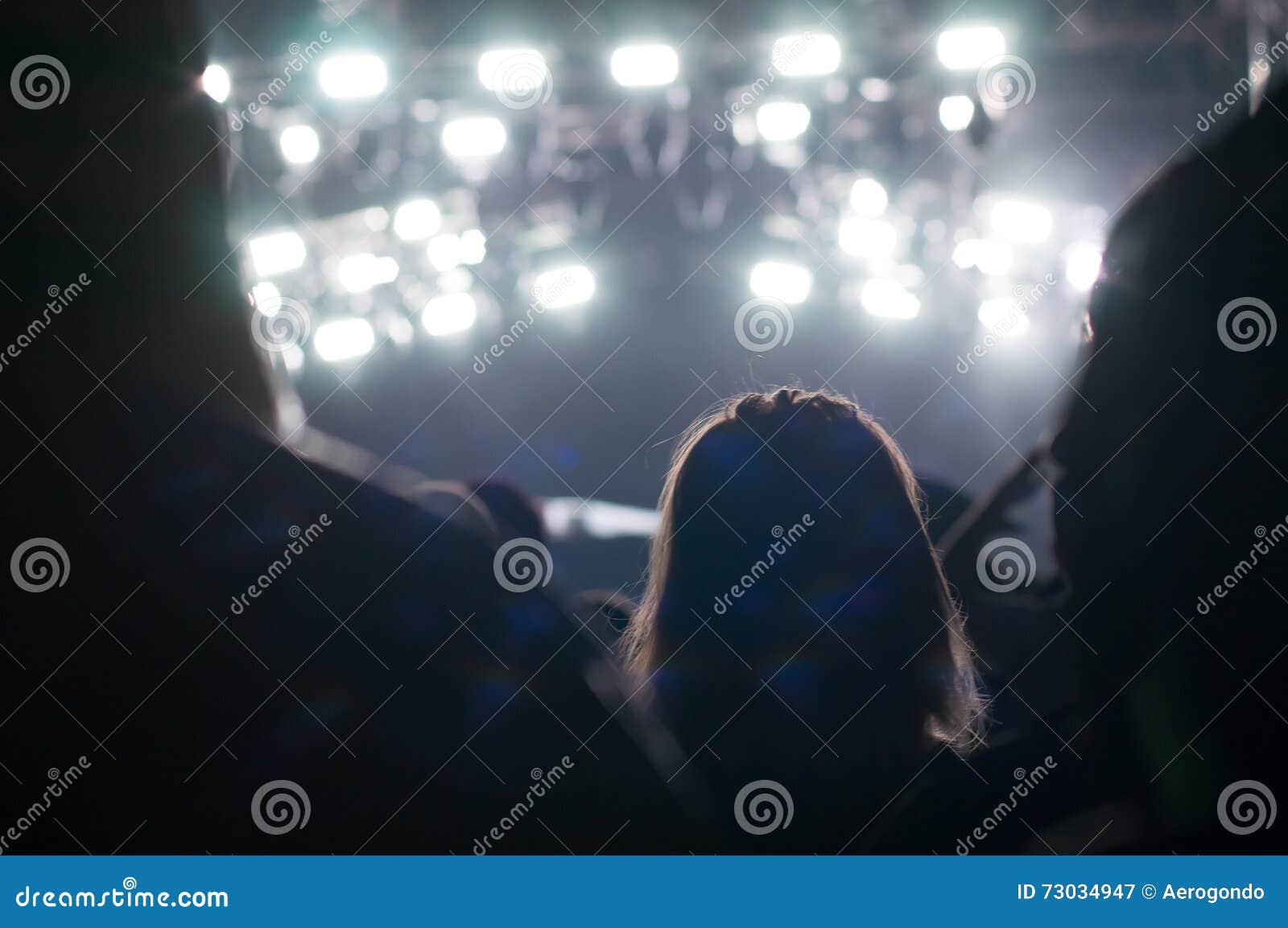 At the techno concert stock image. Image of event, lifestyle - 73034947